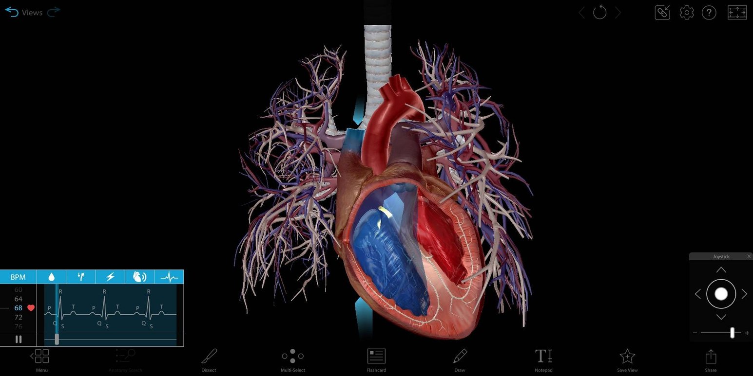 A Heart Rate Lesson Plan With Visible Body Suite a-heart-rate-lesson-plan-with-visible-body-suite
